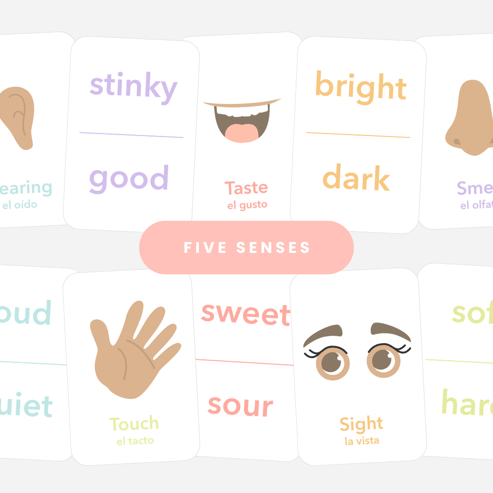 5 Senses Flashcards - Educational for Kids ... | MoogCo Baby