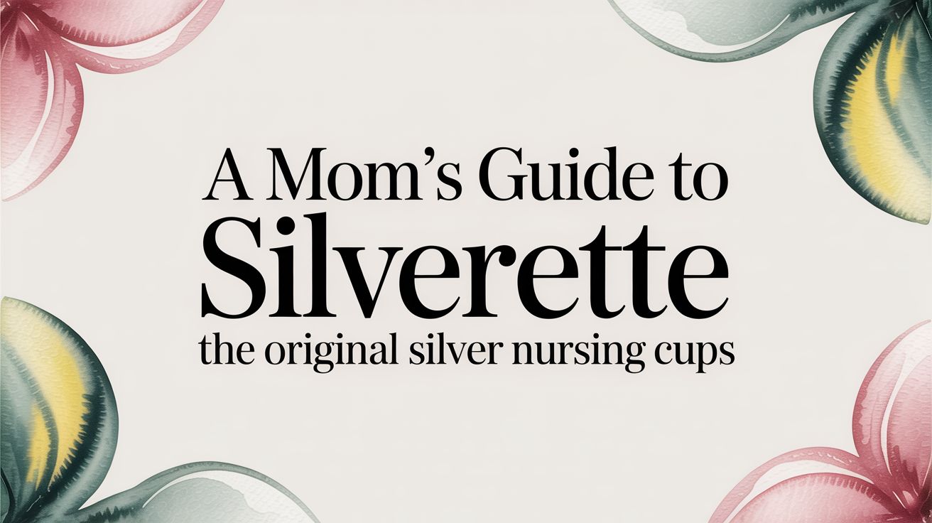Silverette Silver Nursing Cups Review: Worth the Price?