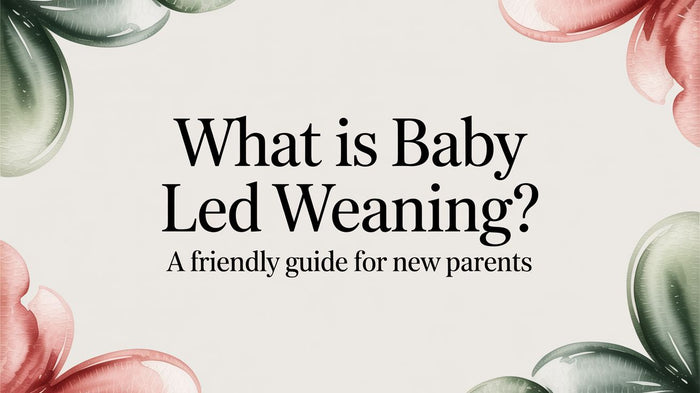 What Is Baby Led weaning? A Friendly Guide for New Parents